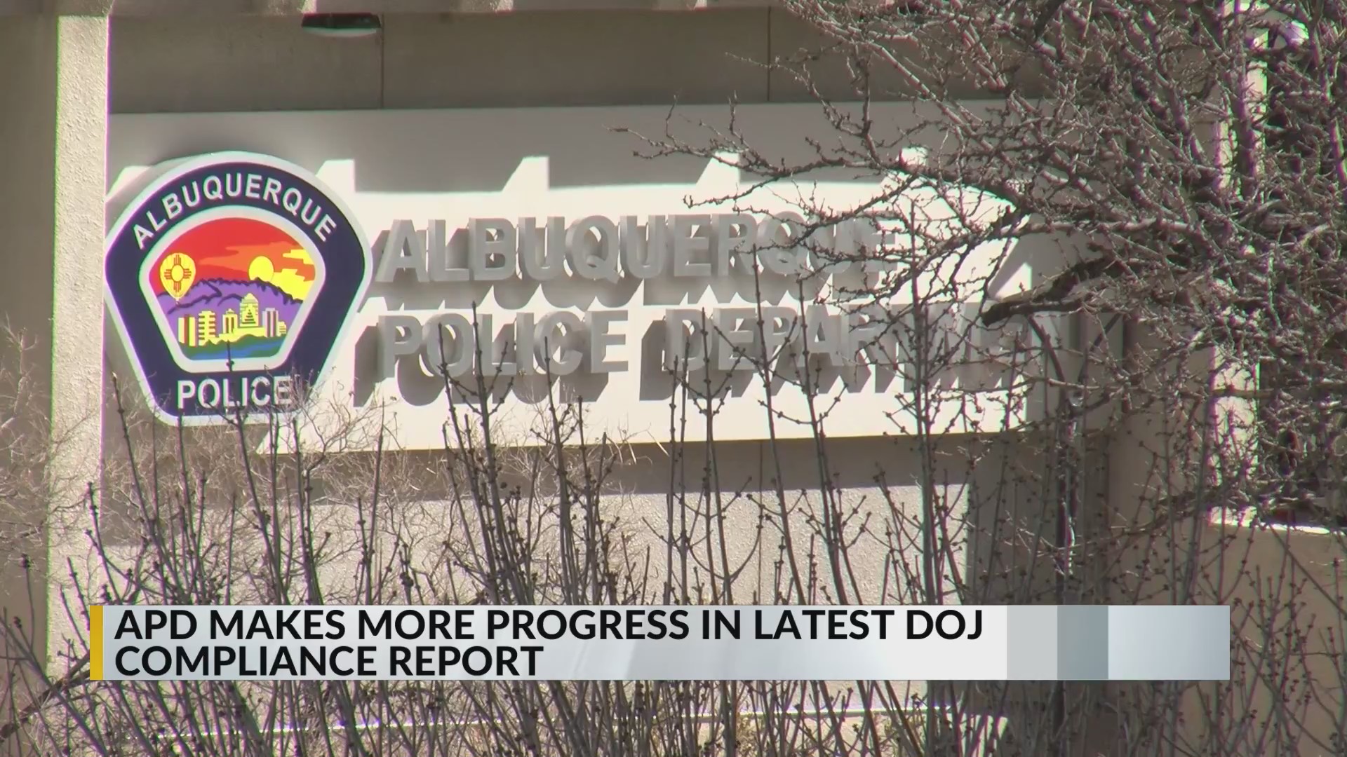 APD celebrates reform progress, but monitor indicates the work isn’t ...