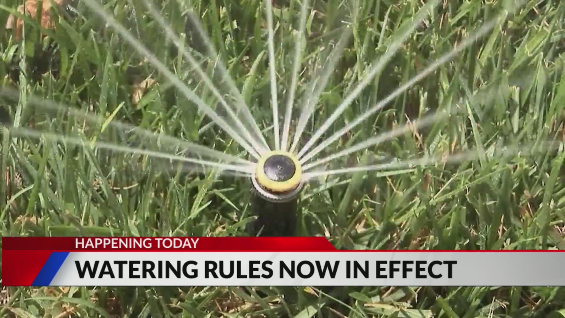 Colorado watering rules: What you need to know this summer – FOX31 Denver