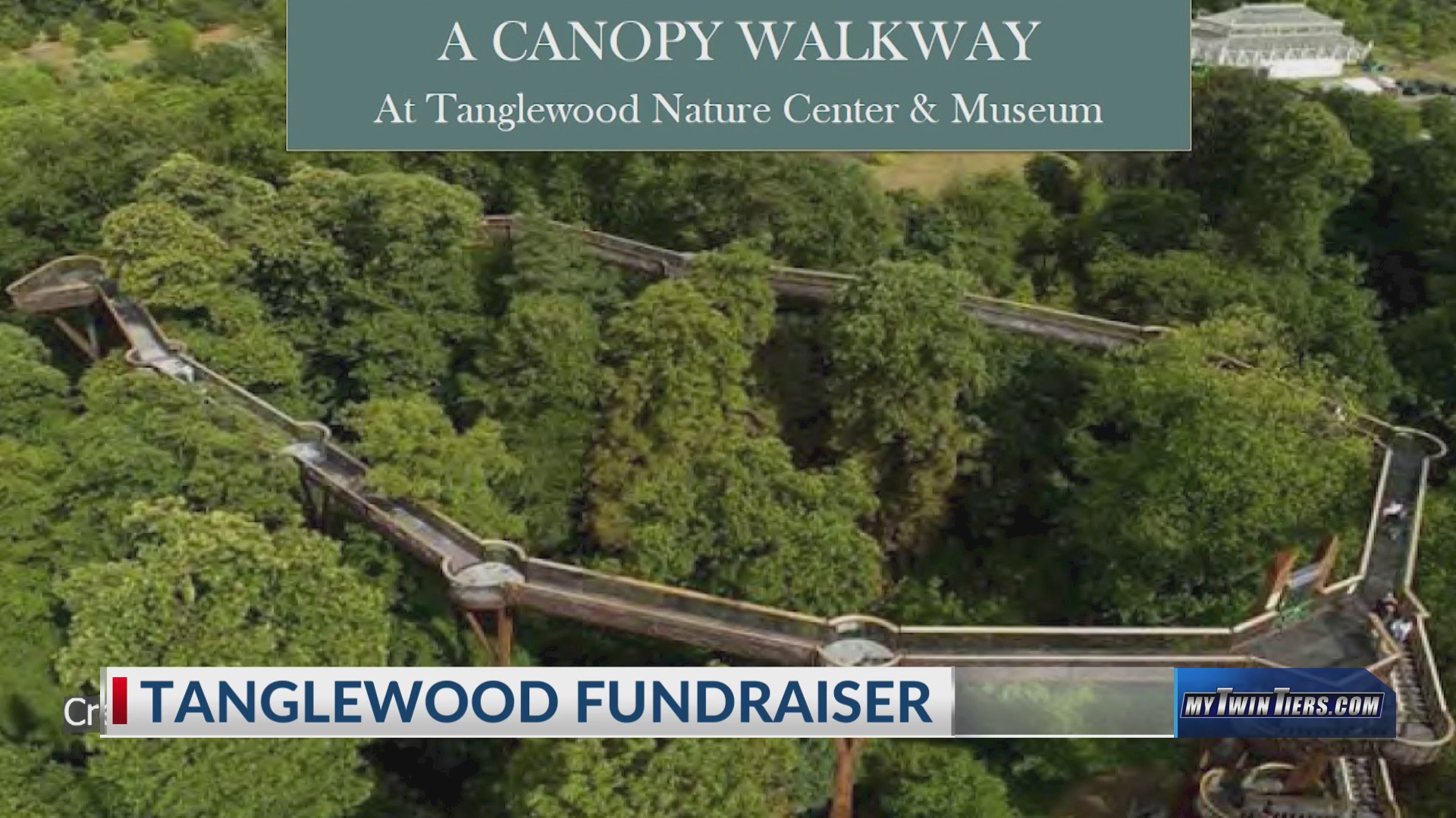 Tanglewood Nature Center & Museum seeks support for treetop walkway ...