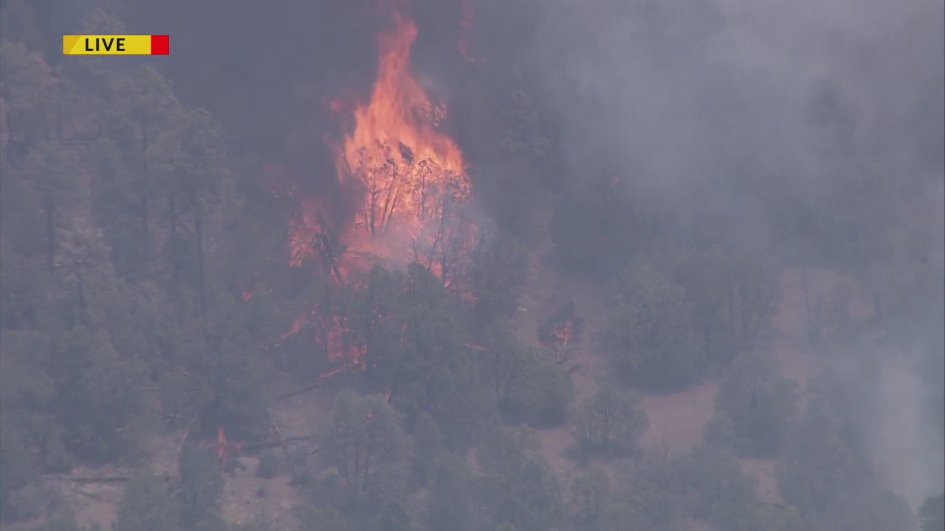 Evacuation order issued for residents near Trout Fire, grows to over ...