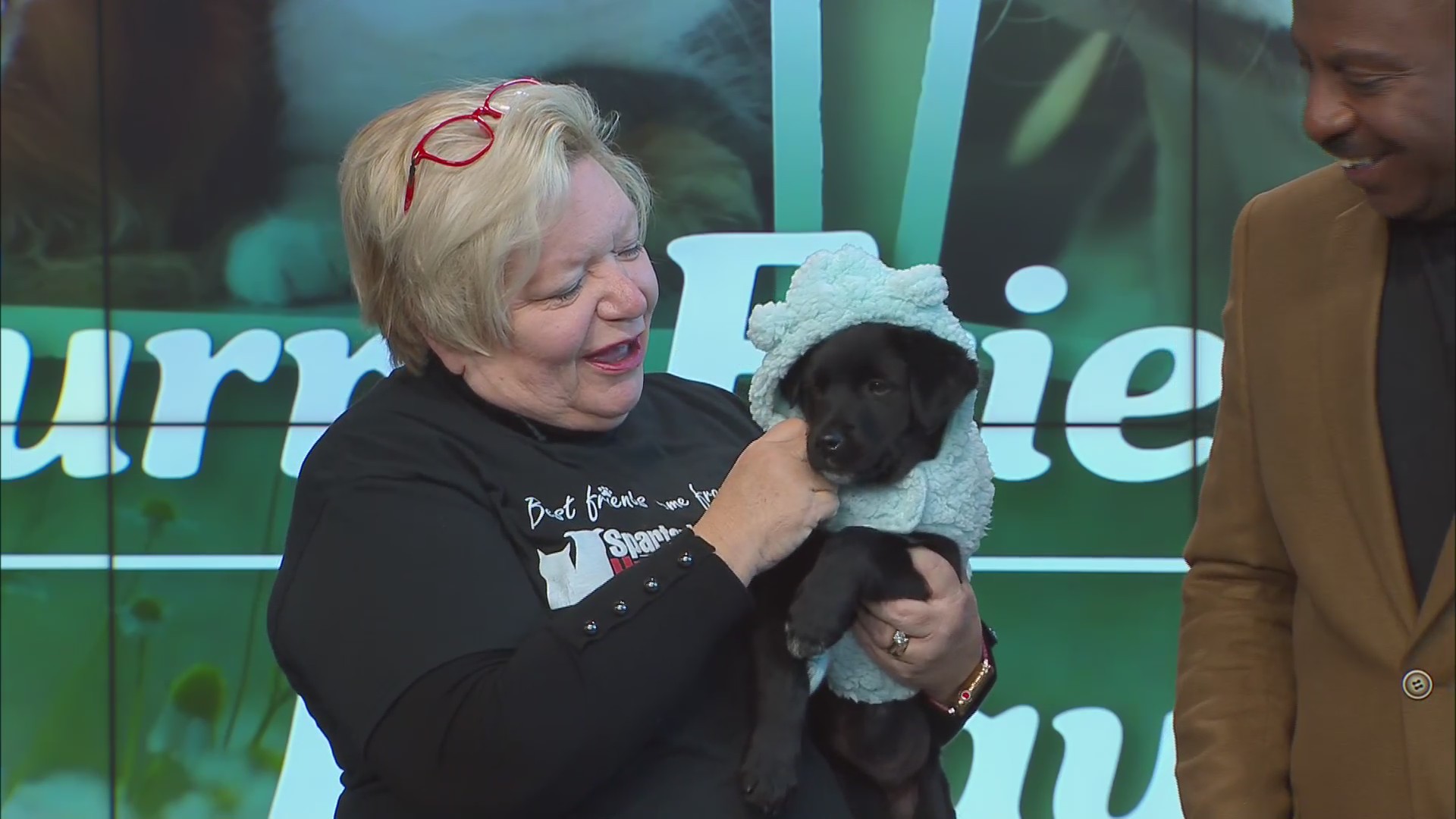 Spartanburg Humane Furry Friend Friday – WSPA 7NEWS