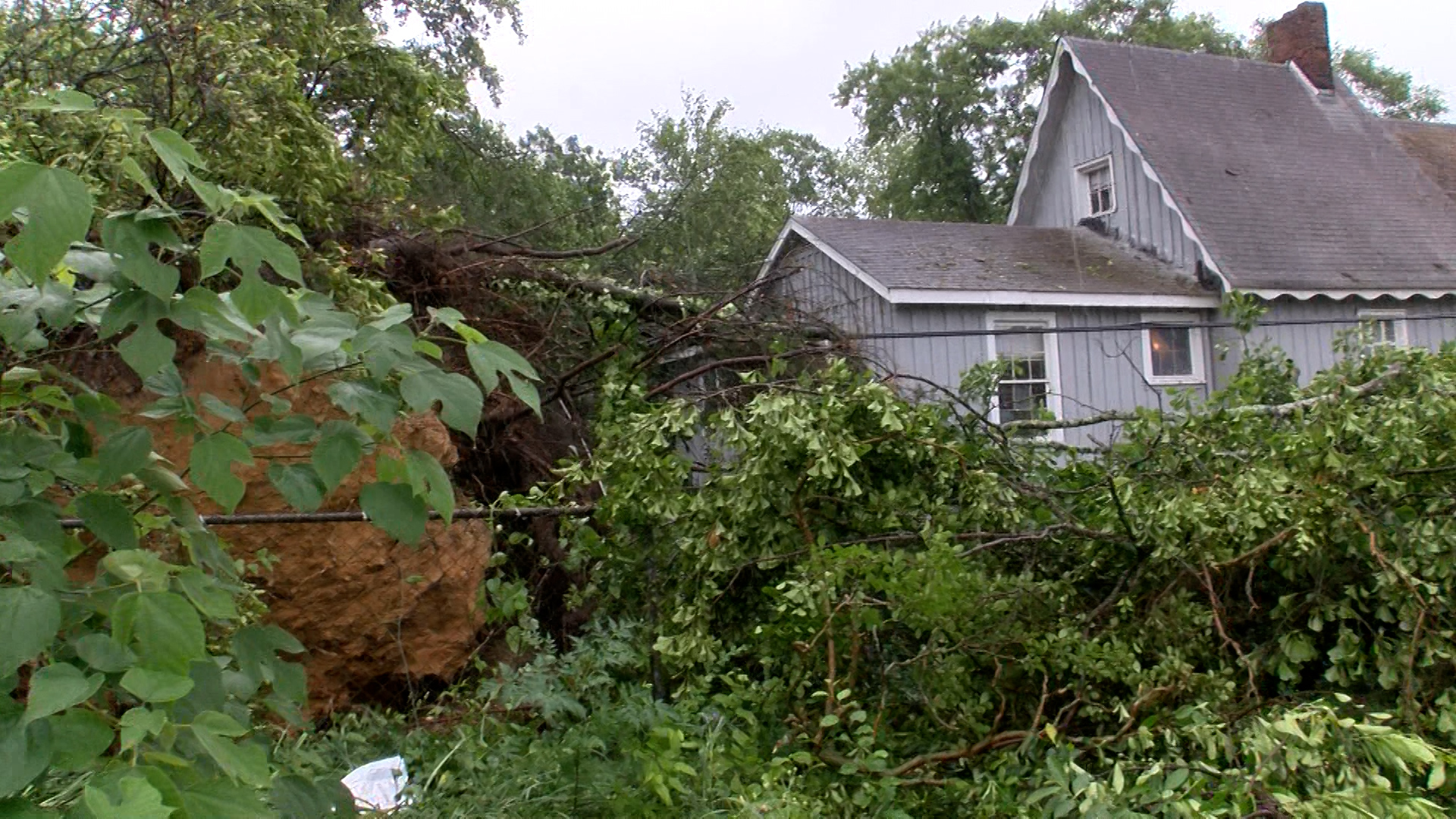 Cleanup underway after storm rips through Warrenville – WJBF
