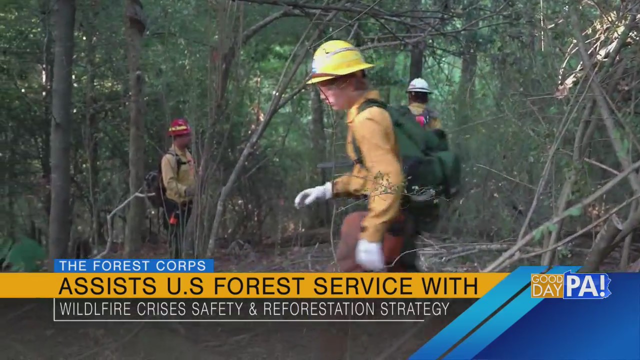 Forest Corps is for young adults who want to make a positive impact on ...