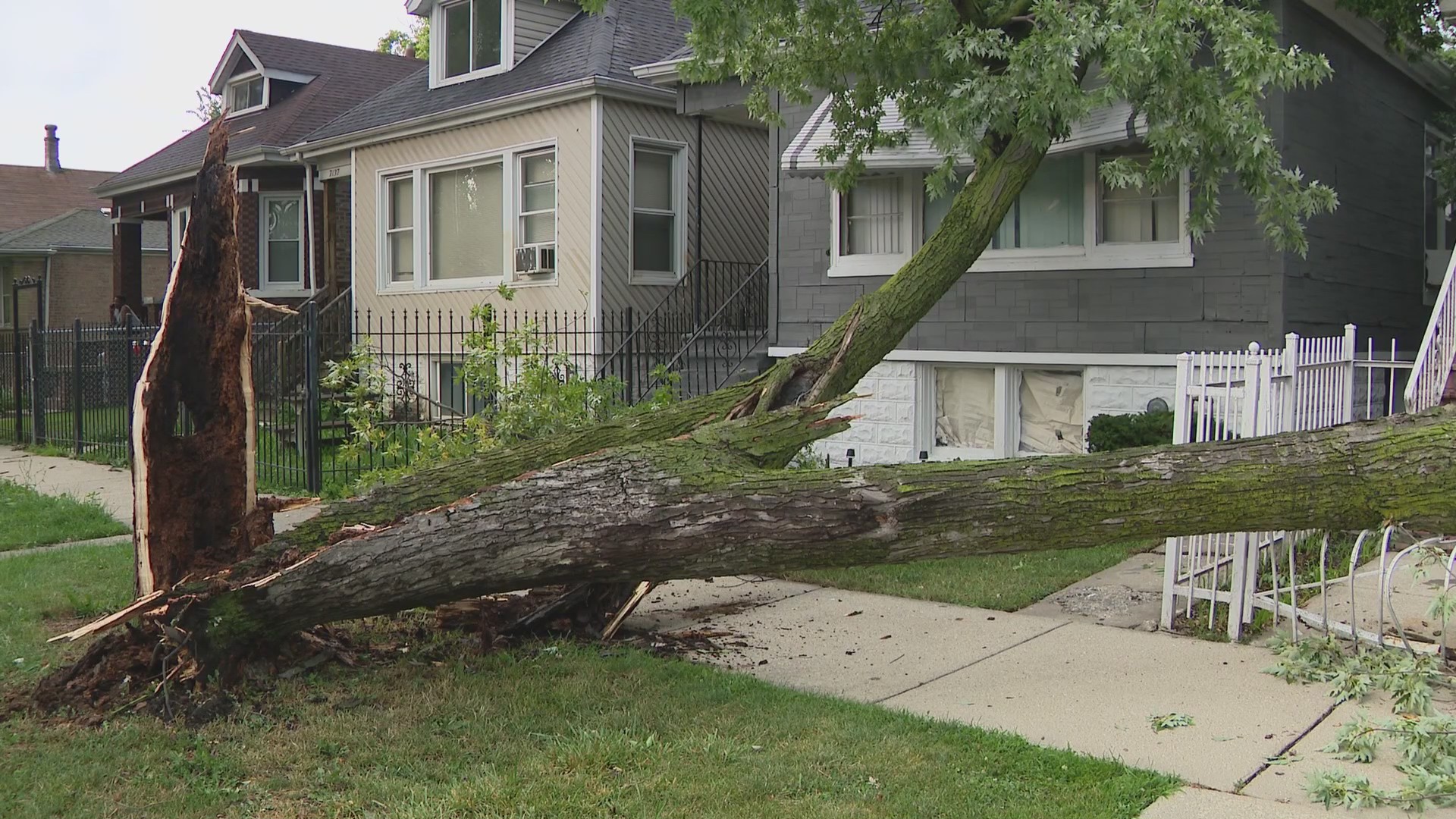 Storm damage reported on Chicago’s South Side – WGN-TV
