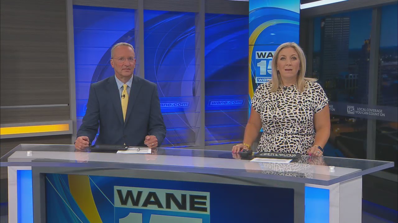 Swings 4 Theo nonprofit TinCaps night – WANE 15