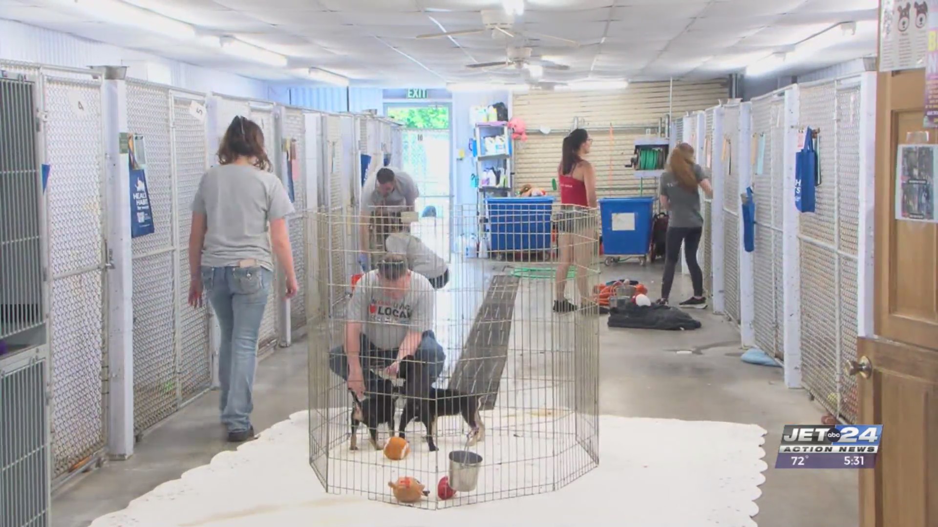 JET 24 FOX 66 celebrates Founder’s Day 2025 volunteering at the ANNA ...