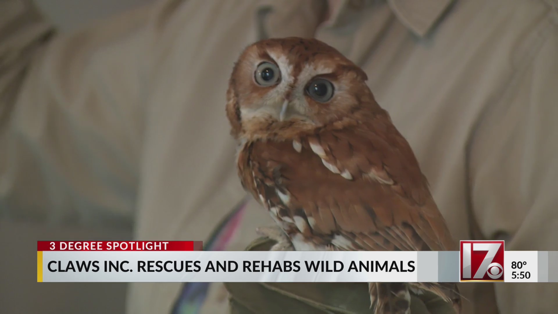 3 Degree Spotlight: CLAWS Inc. – CBS17.com