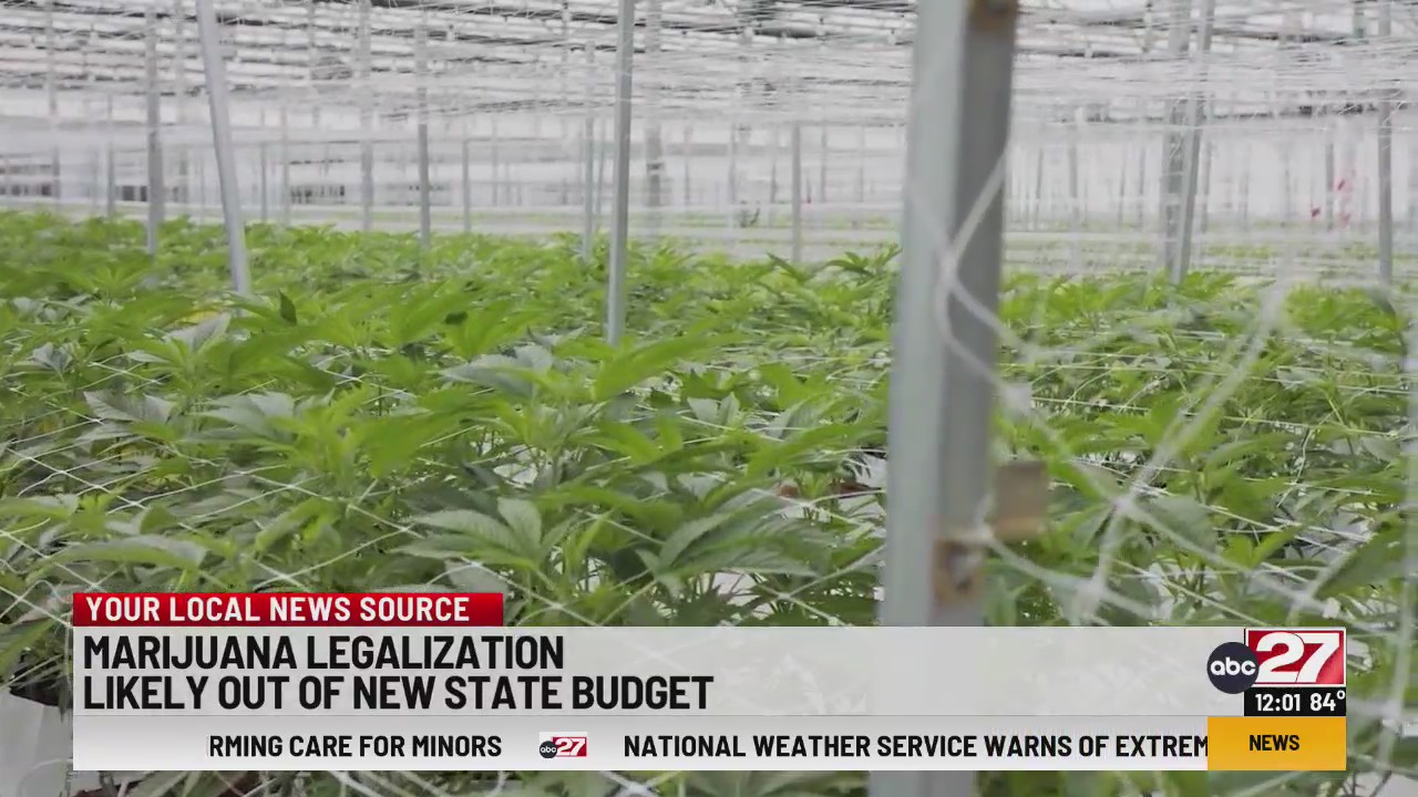 Marijuana legalization likely out of new state budget – ABC27
