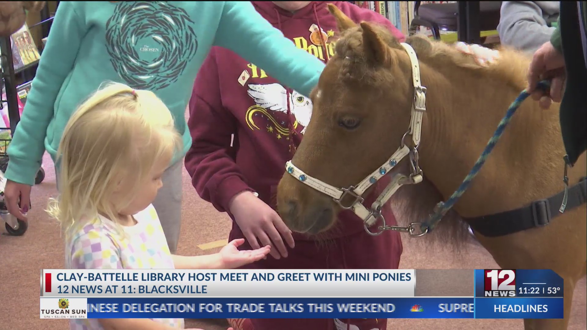 Clay-Battelle library hosts meet and greet with miniature horses – WBOY.com