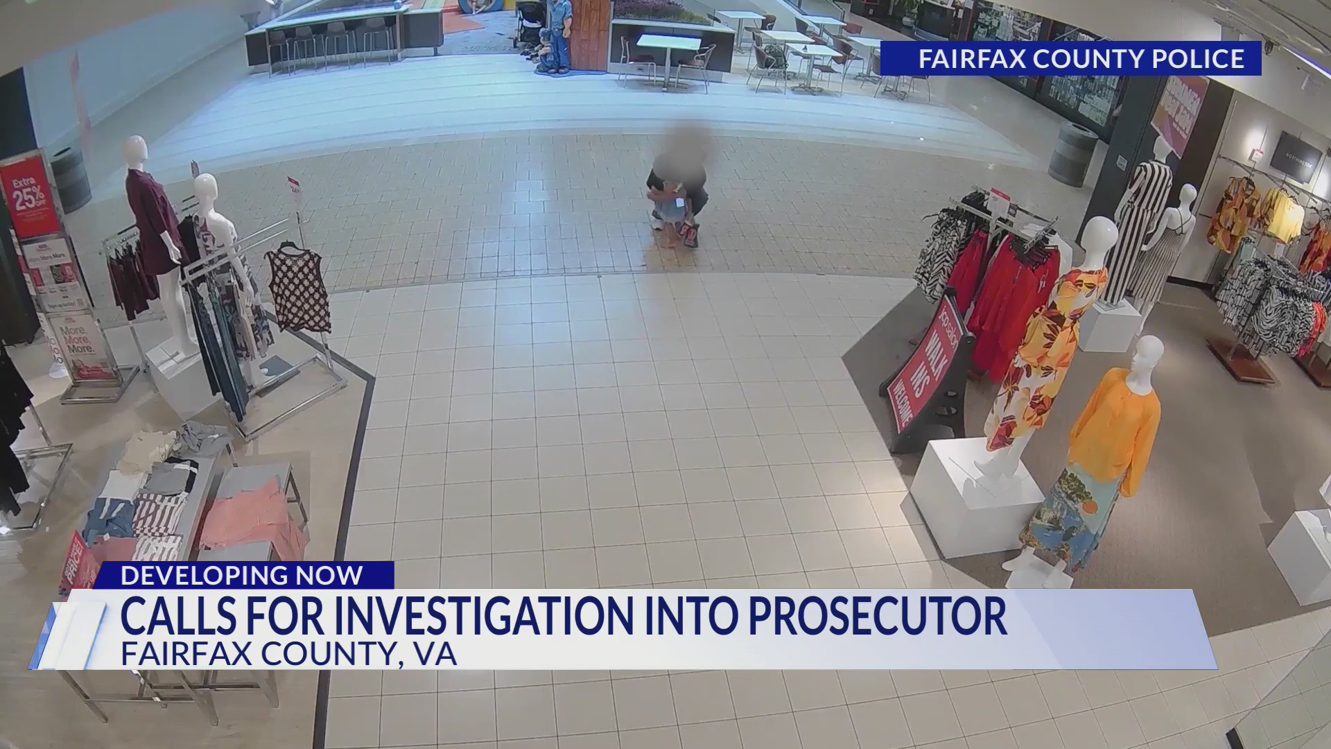 State officials call for investigation into Fairfax County prosecutor ...