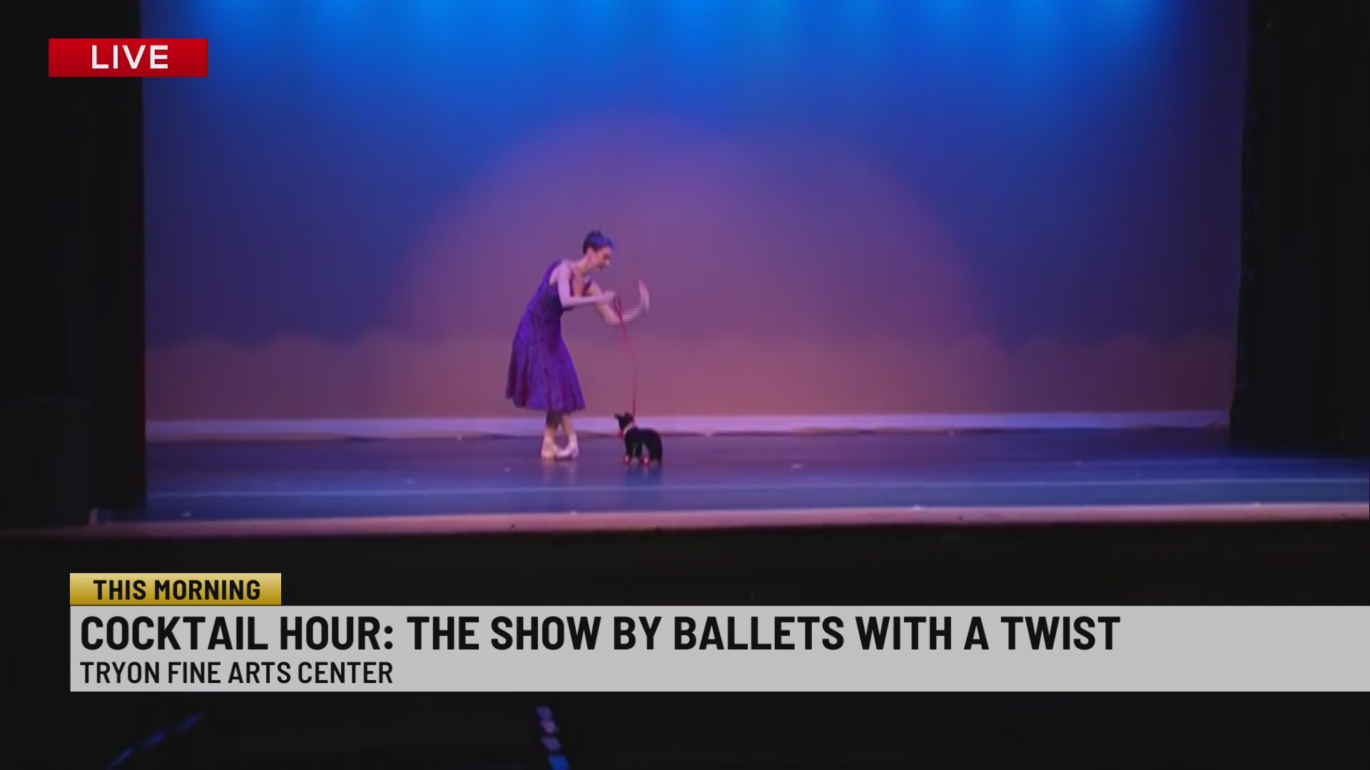 Tryon Fine Arts Center hosts family friendly ballet Cocktail Hour: The ...