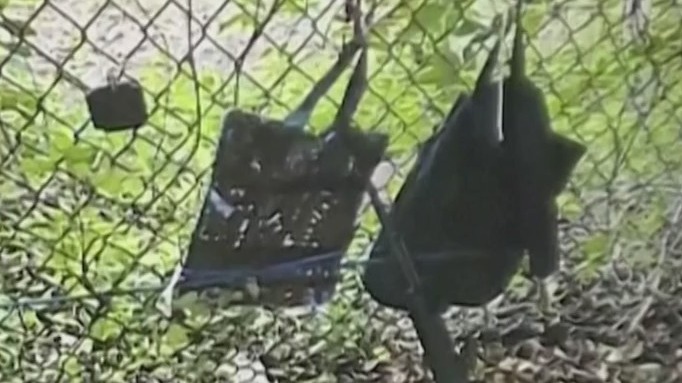 Trump Florida shooting attempt suspect ‘prepared for a confrontation ...