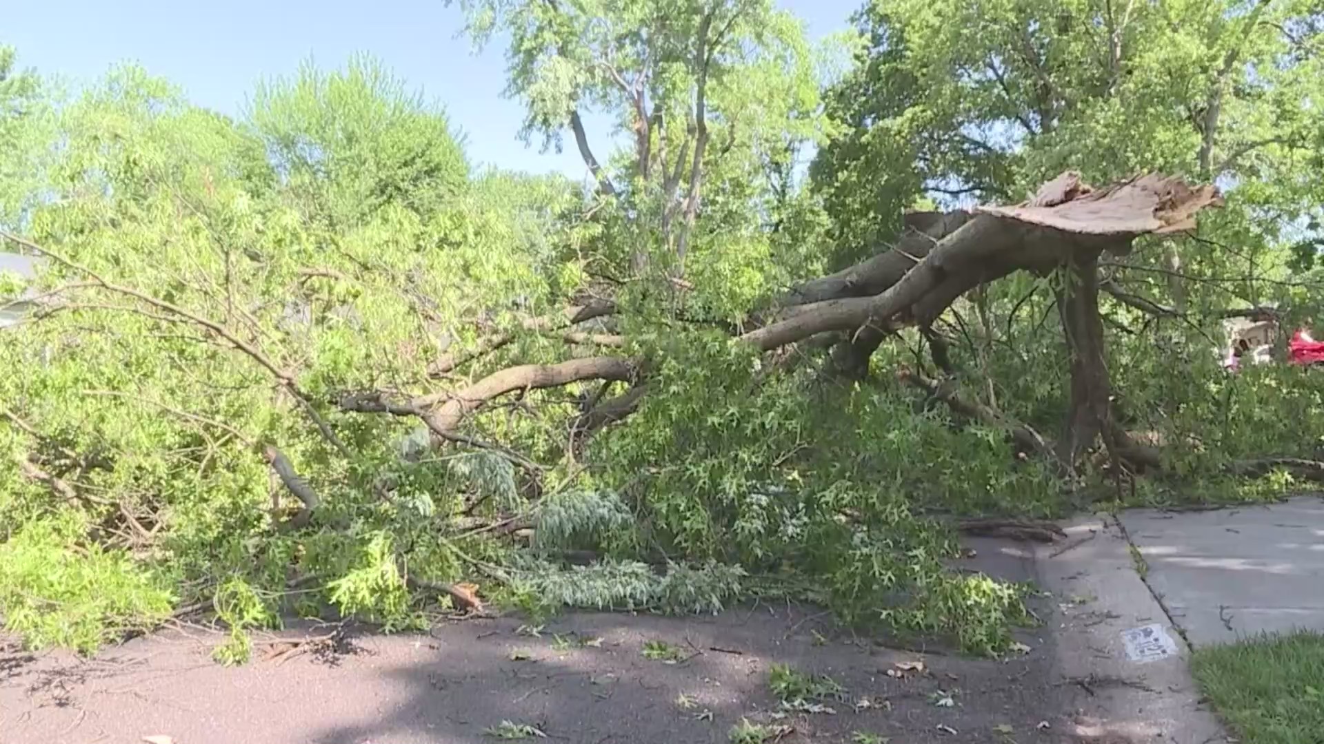 City of Leawood starts curbside storm debris pickup on Monday – FOX 4 ...