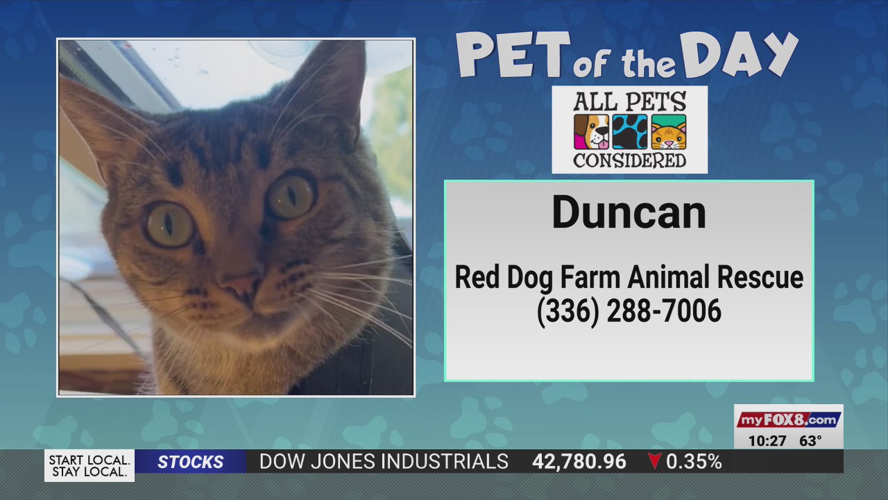 Pet of the Day: Adopting Duncan is a slam dunk! – FOX8 WGHP