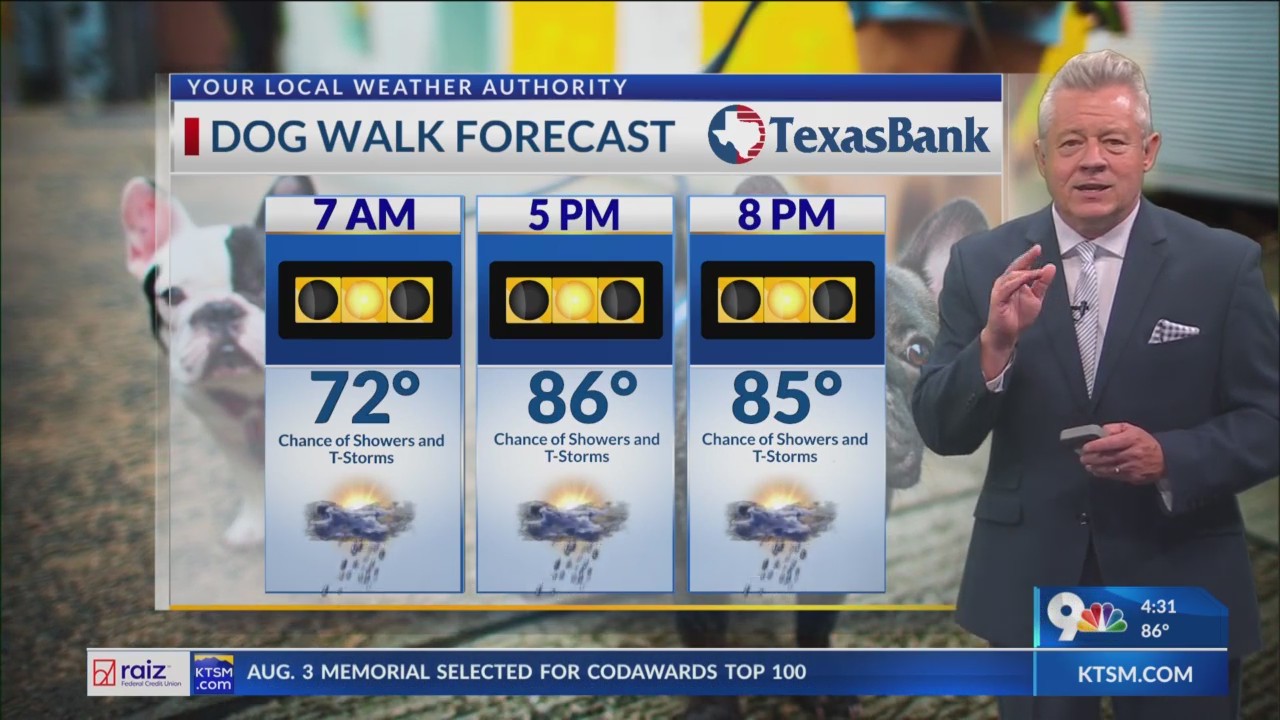 kelly live – KTSM 9 News