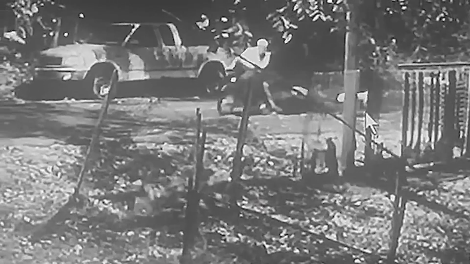 New details in deadly dog mauling incident in Kansas City – FOX 4 ...