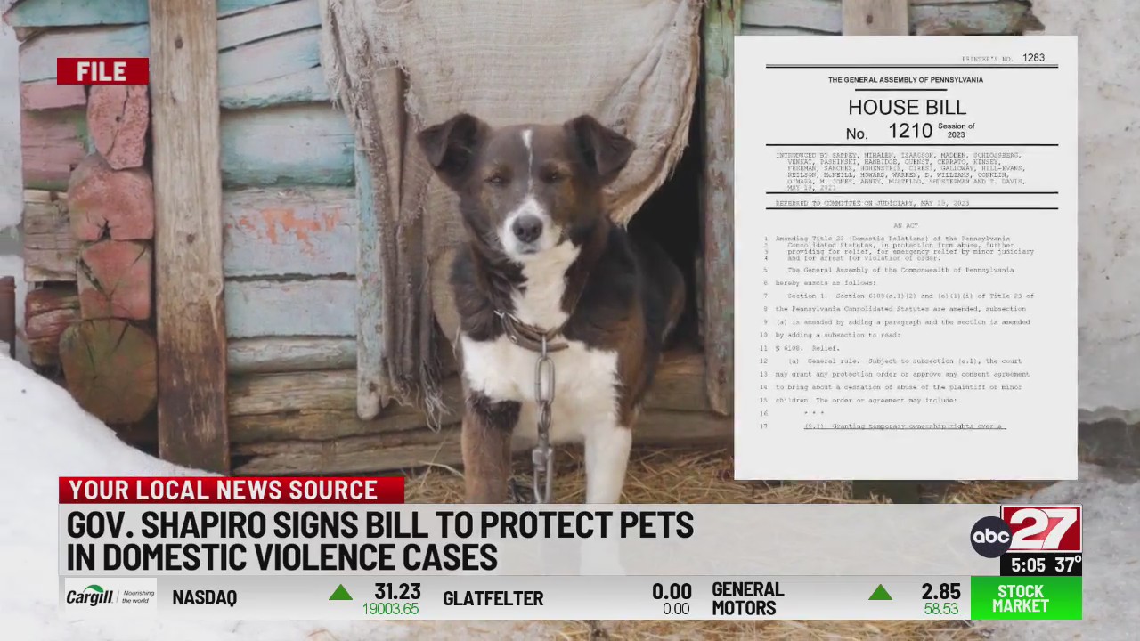 Governor Shapiro signs bill to protect pets in domestic violence cases ...