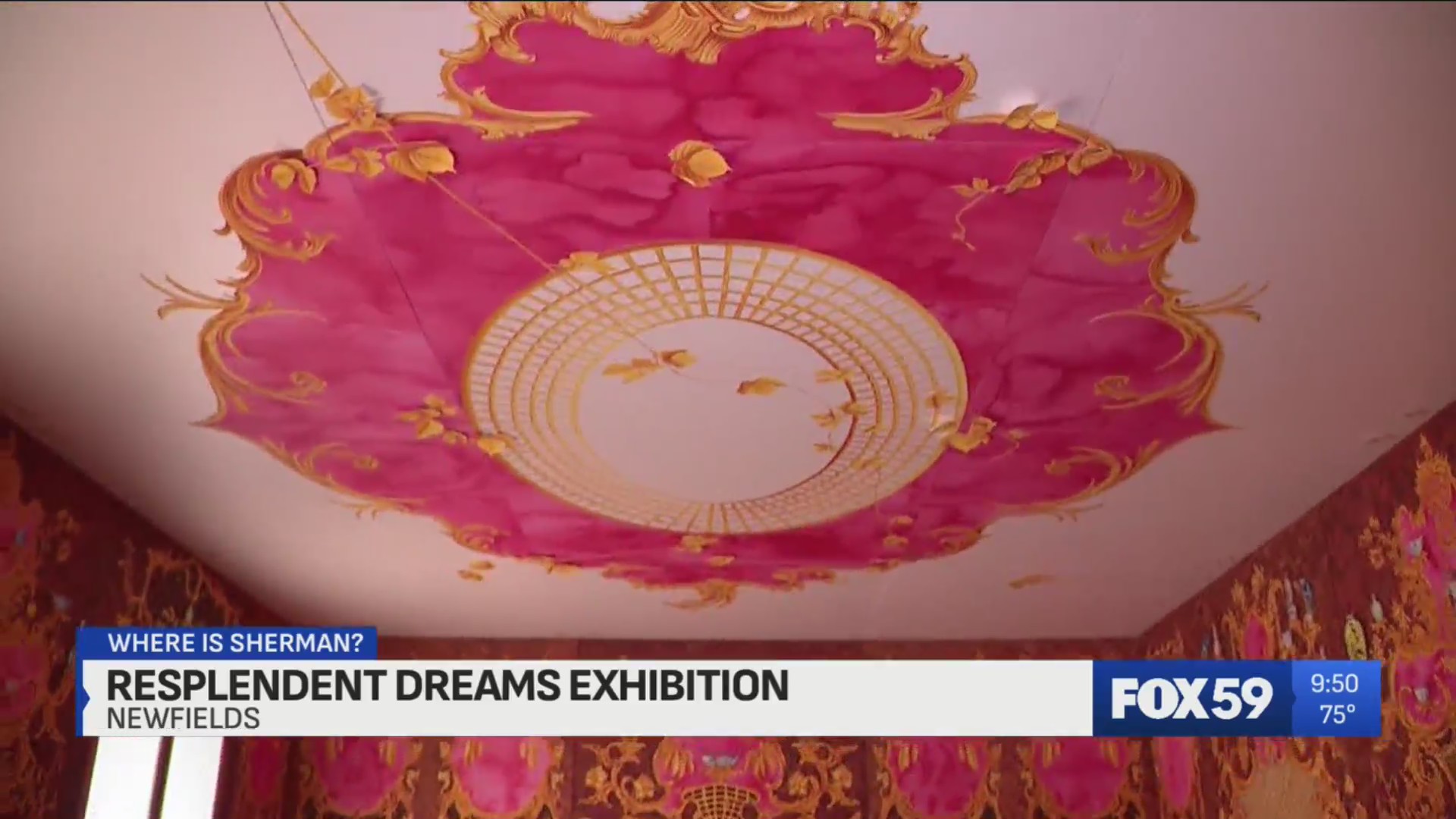 Where Is Sherman: Resplendent Dreams exhibit, Part 3 – Fox 59