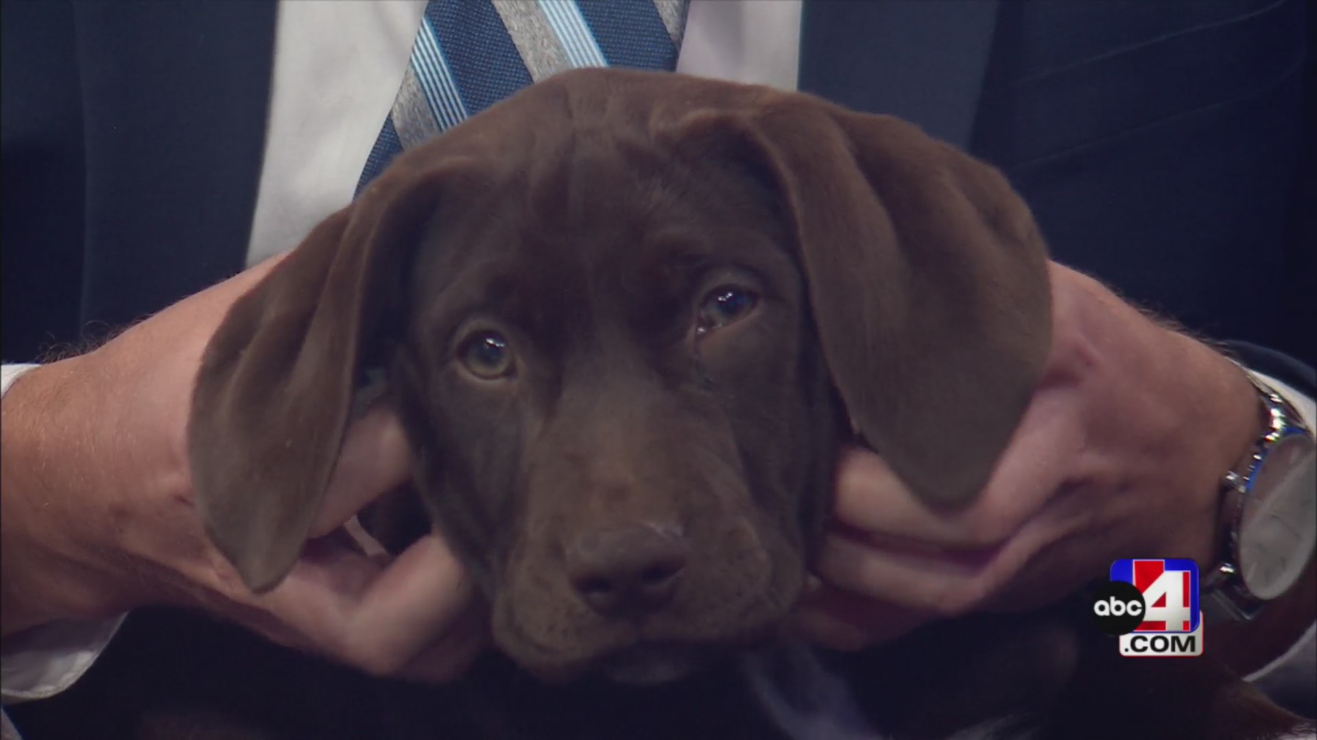 The Humane Society of Utah brings ‘Bob’s Burgers’ named pets in to ...
