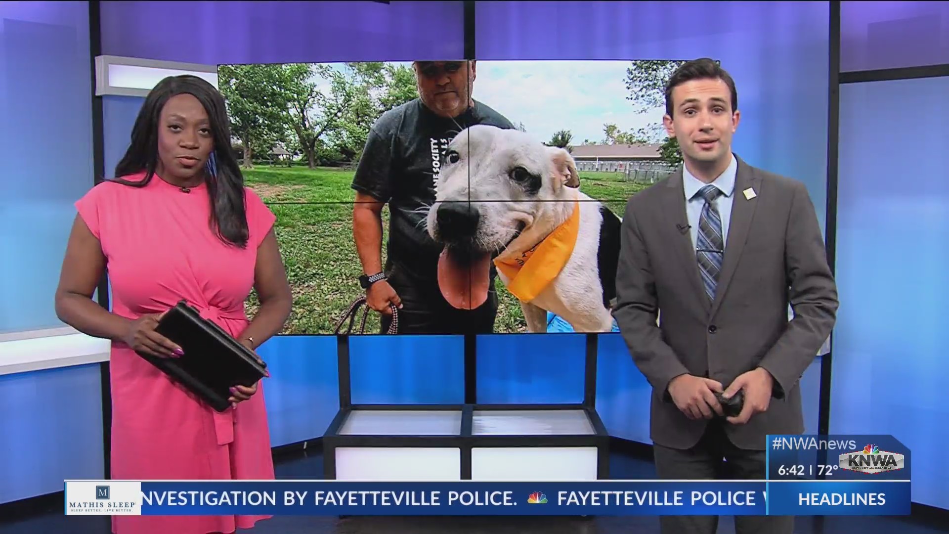 KNWA News Today: McFly Pet of the Week – KNWA FOX24