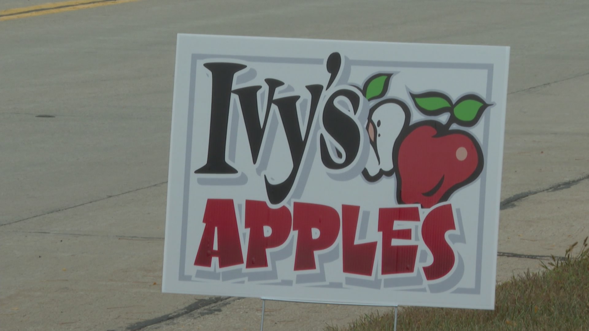 98-year-old ‘Apple Grandma’ Ivy Nelson continues her 40+ years of apple ...