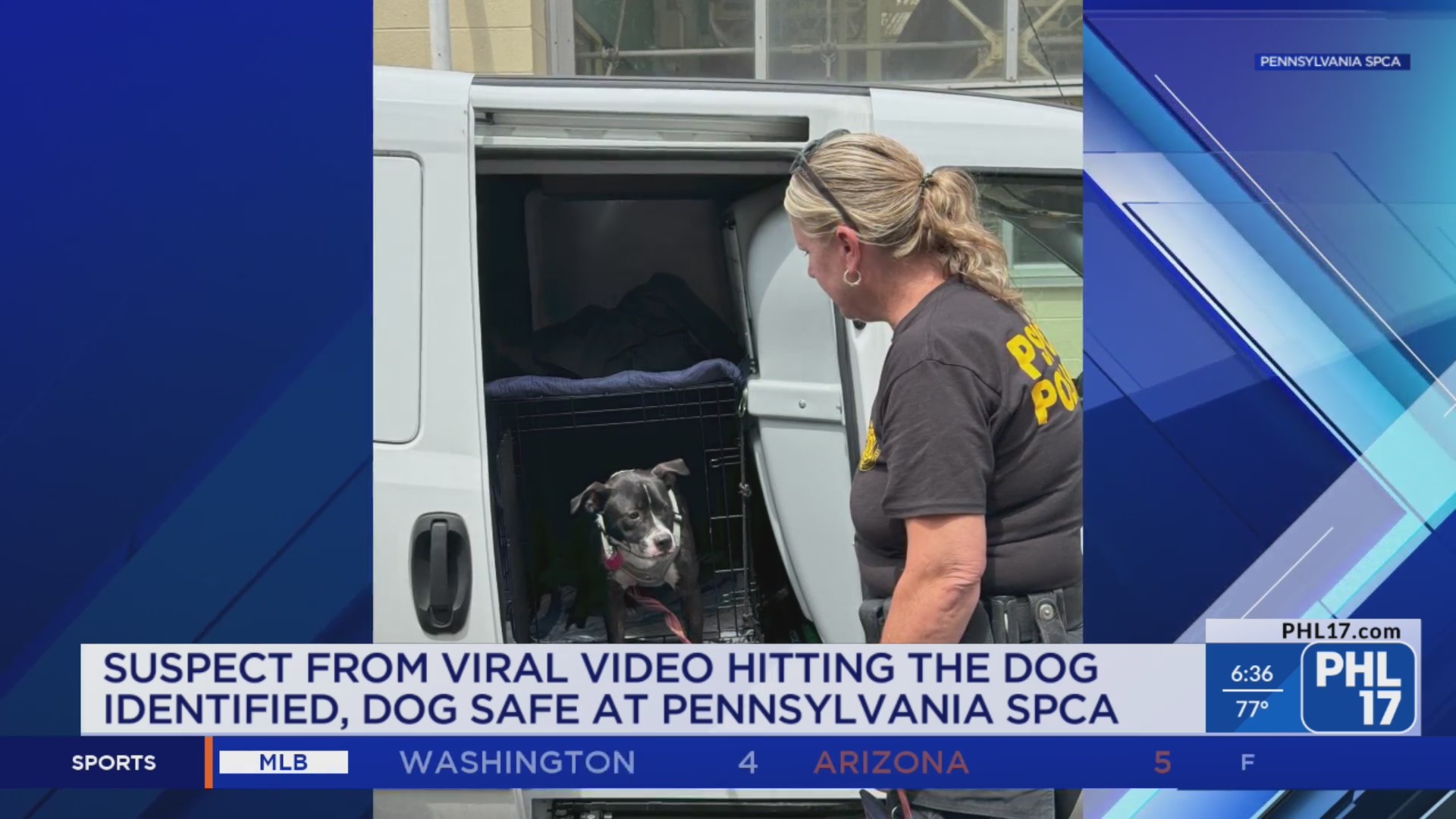 Dog rescued from abuse by PSPCA after viral video; suspect identified ...