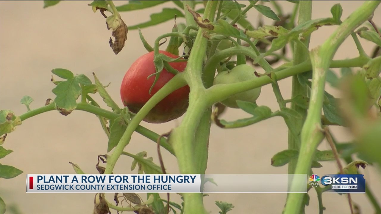 Plant a Row for the Hungry connects produce from gardeners to people in ...