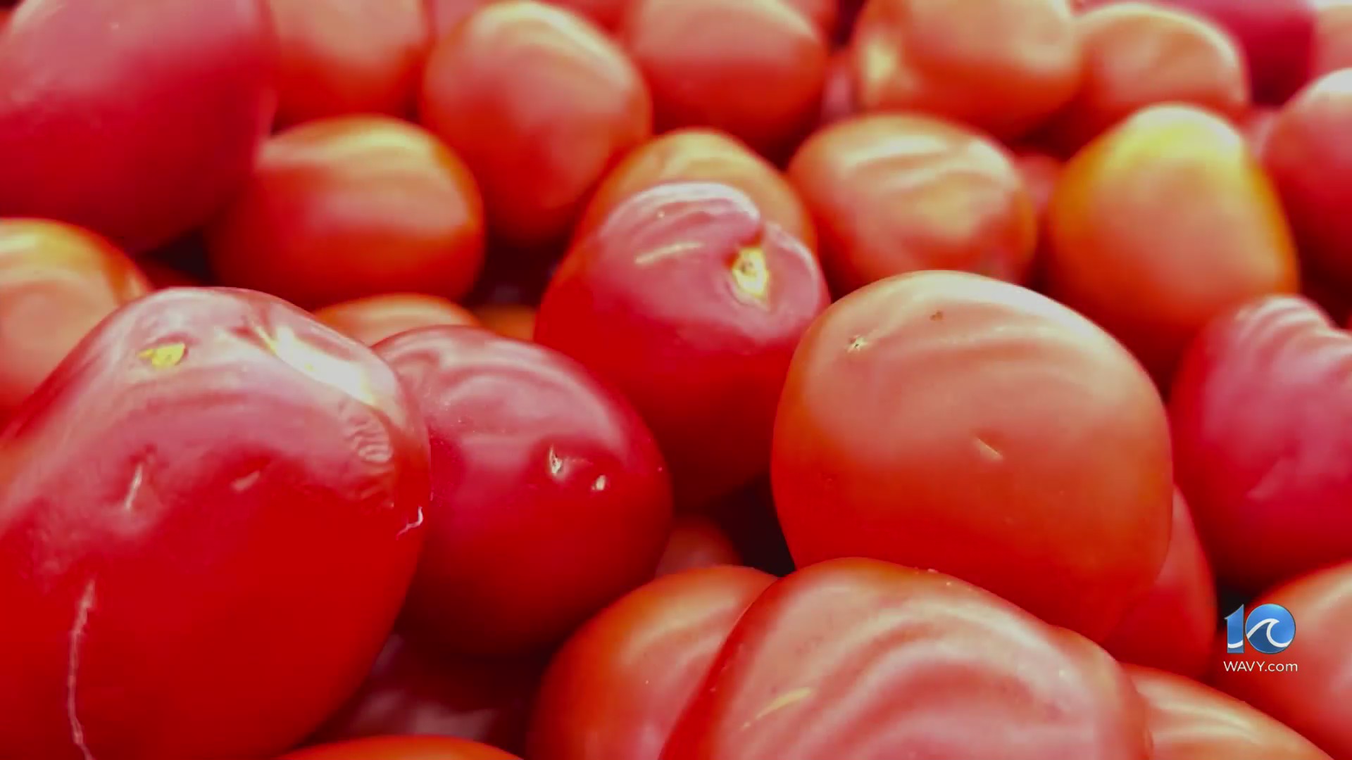 Tariffs could impact tomato prices – WAVY.com