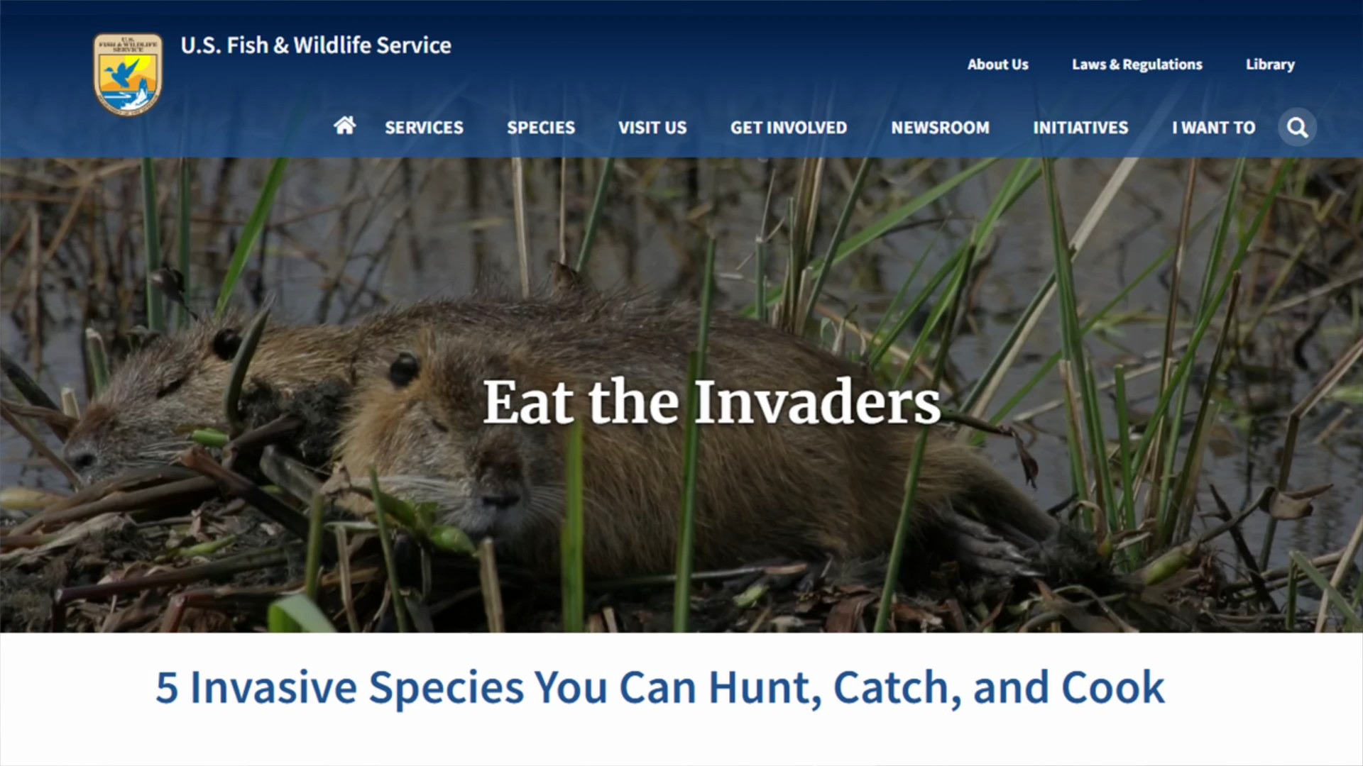 Today I Learned: Invasive species you can catch & cook – WGN-TV