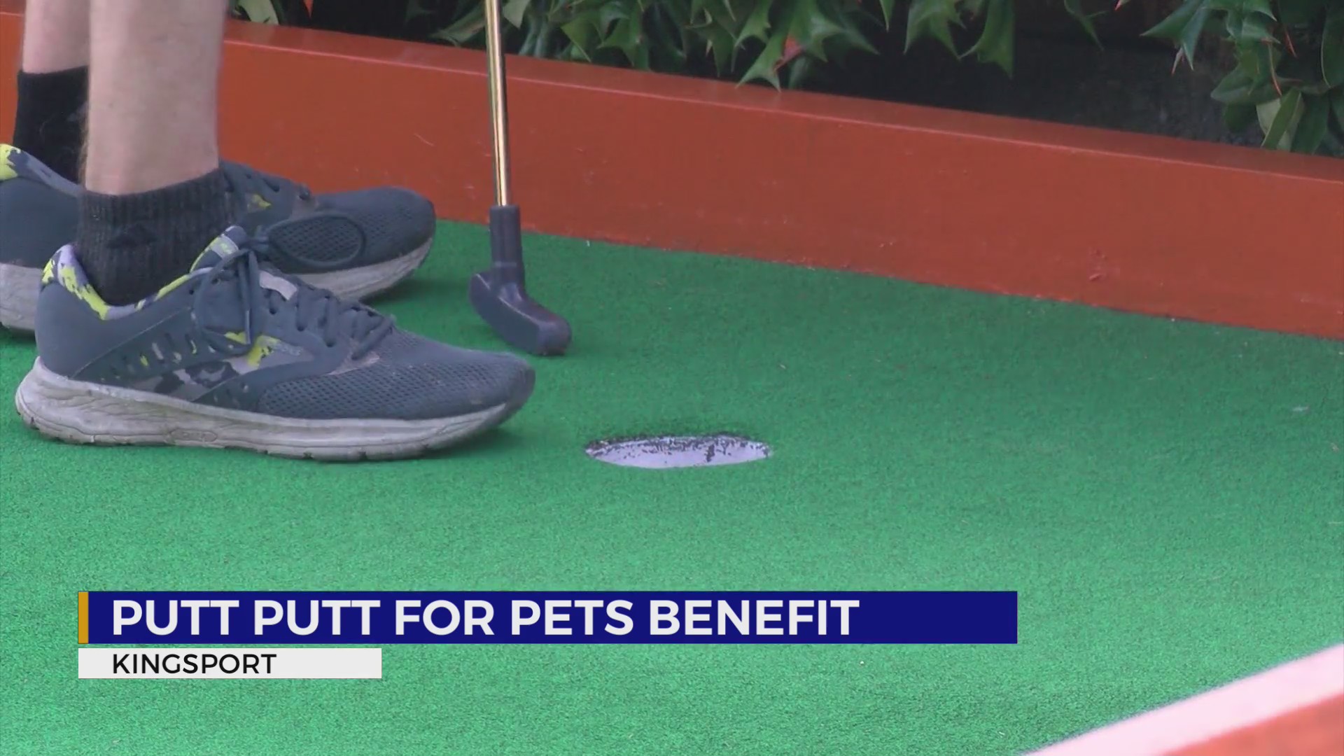 Petworks Animal Services hosts ‘Putt-Putt for Pets’ fundraiser in Kingsport – WJHL | Tri-Cities ...
