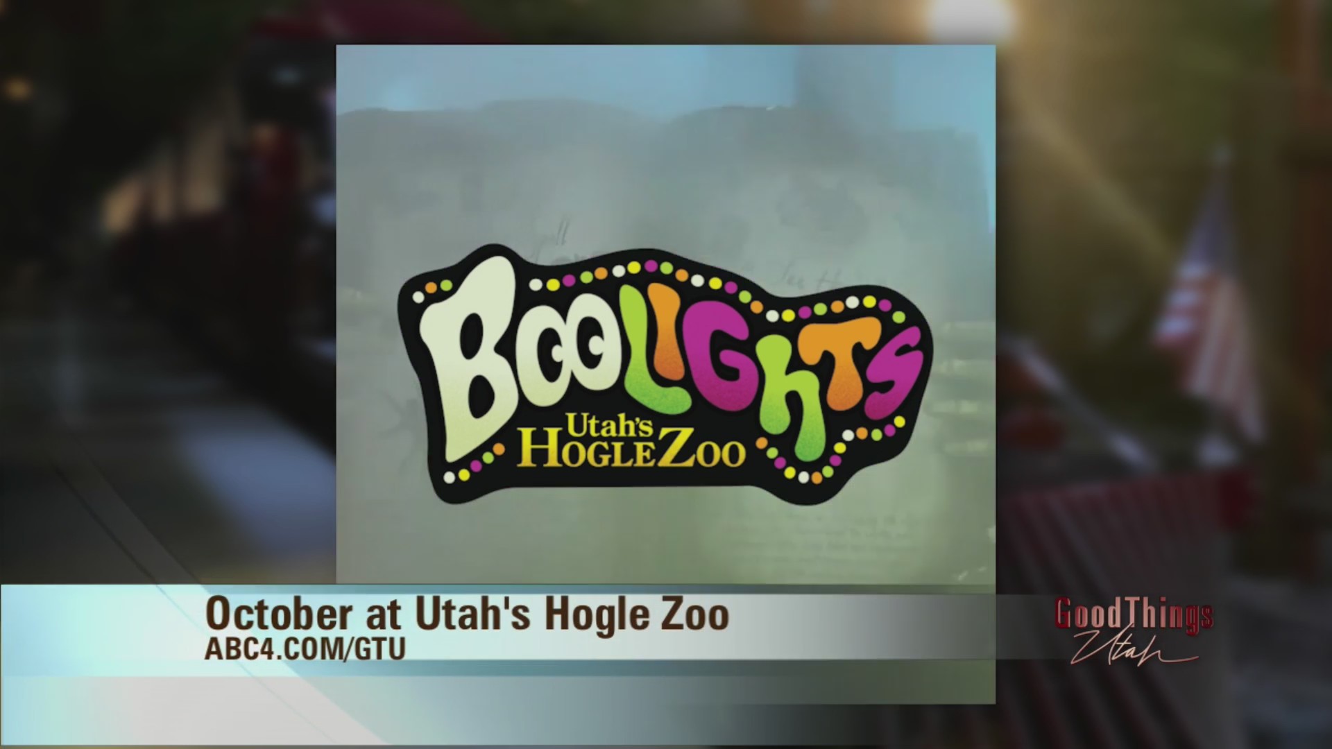 Hogle Zoo: Fall Fun with Animals and Lights! – ABC4 Utah