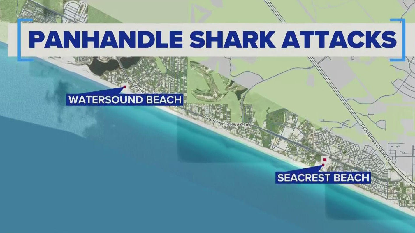 Multiple shark attacks reported in Florida panhandle | Morning in ...