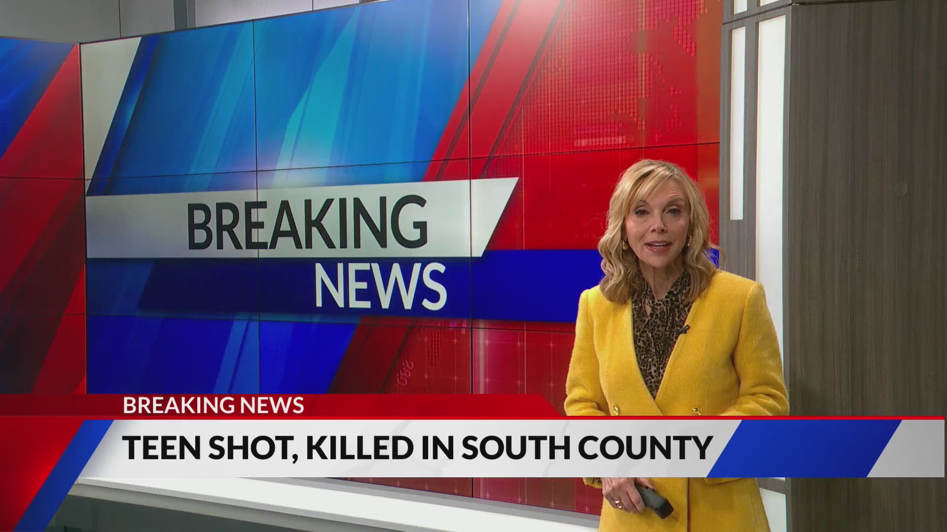 Teen shot, killed in Lemay: Police – FOX 2