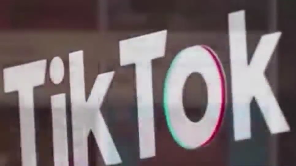 TikTok appeals ban, says it violates First Amendment rights – PIX11
