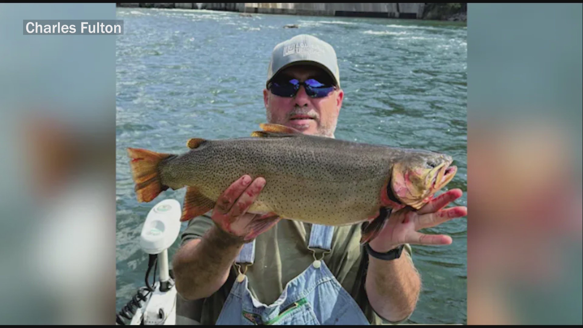 Man lands record cutthroat trout near Boone Dam – WJHL | Tri-Cities ...