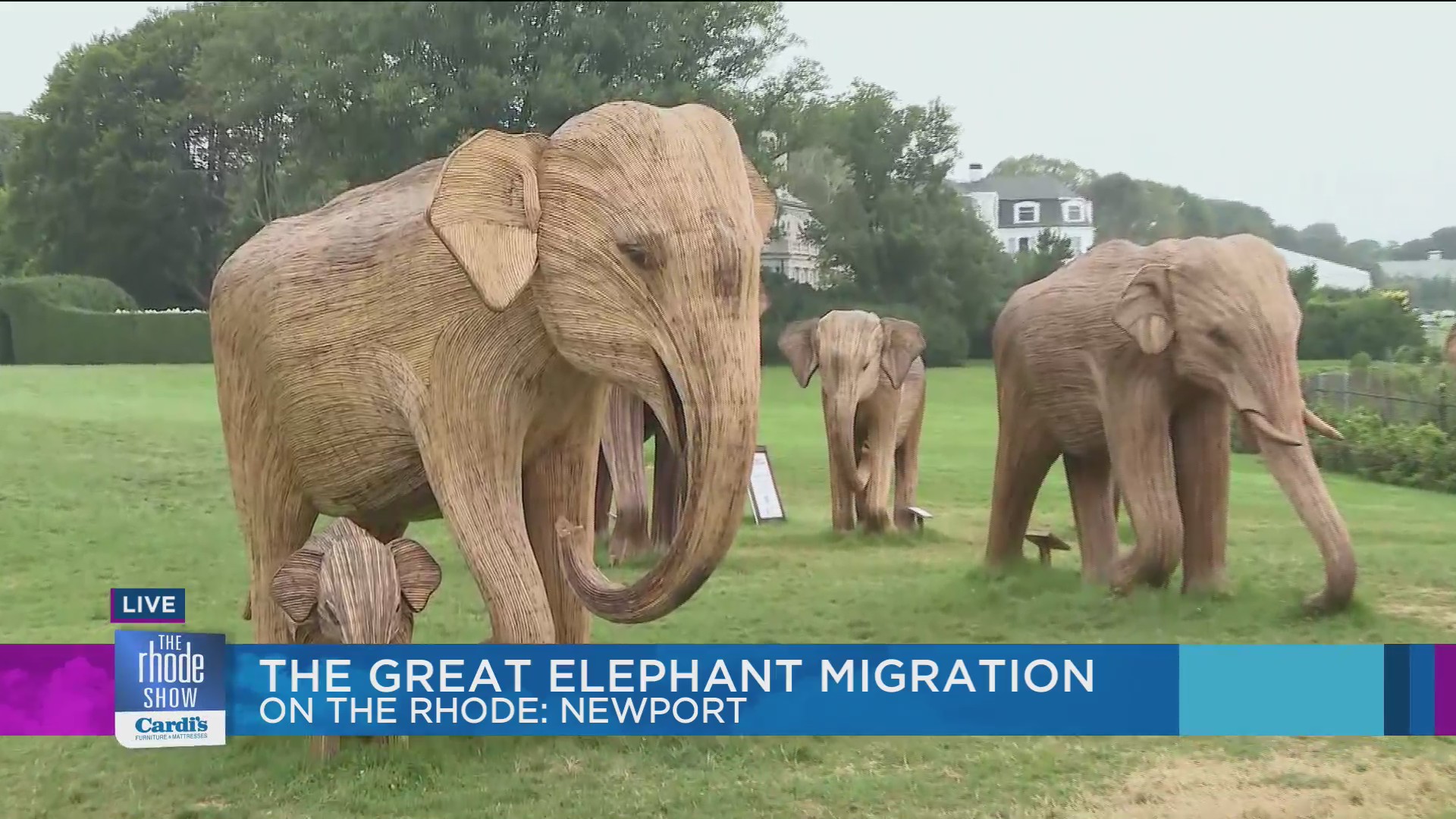 On the Rhode: The Great Elephant Migration – WPRI.com