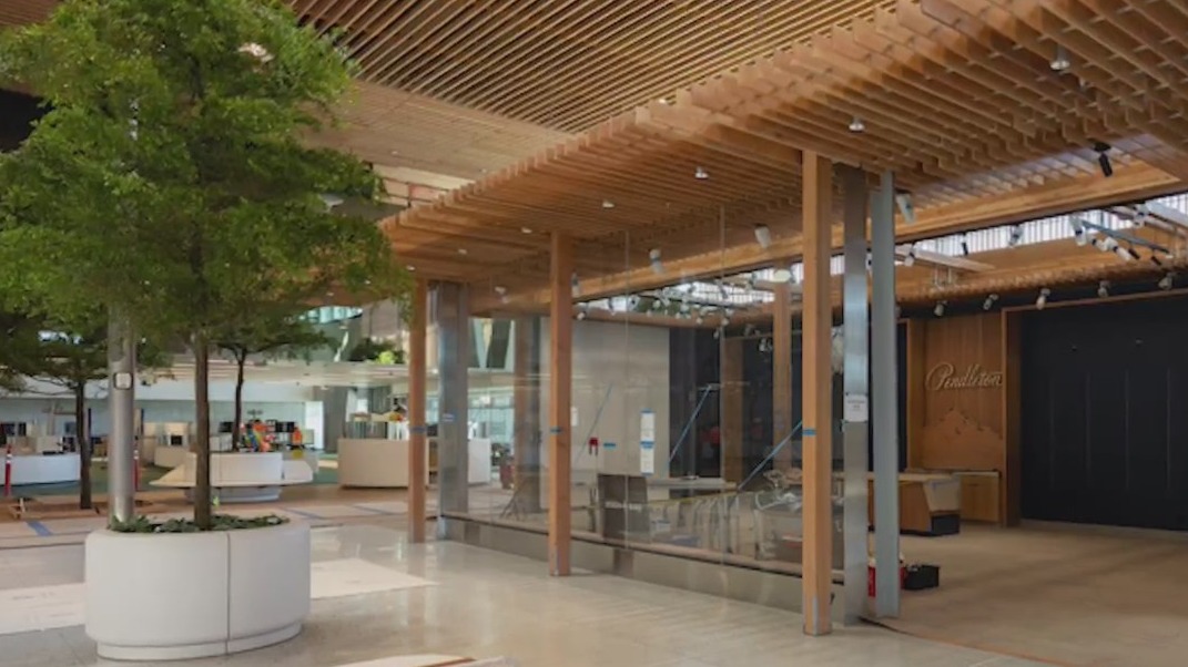 PHOTOS: PDX airport debuts ‘immersive, forest-like’ terminal Aug. 14 ...