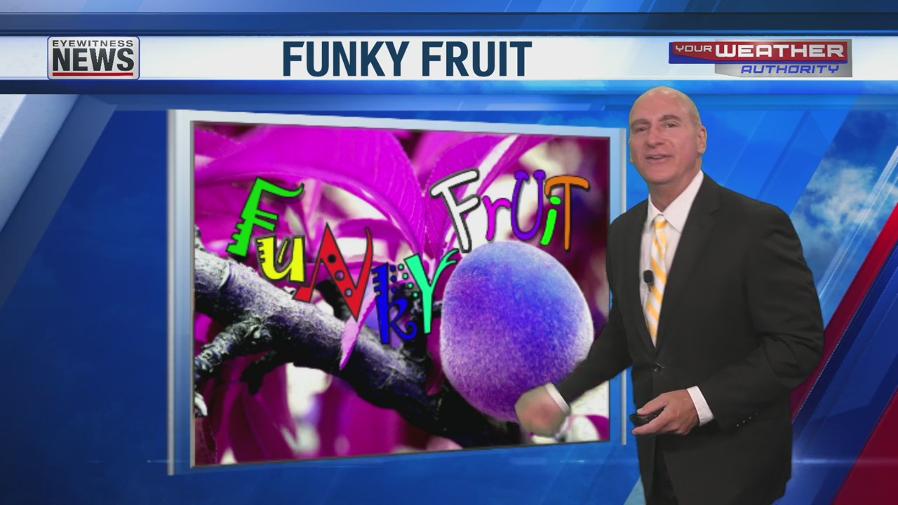 FuNkY FrUiT Sad Squash 2 – Eyewitness News (WEHT/WTVW)