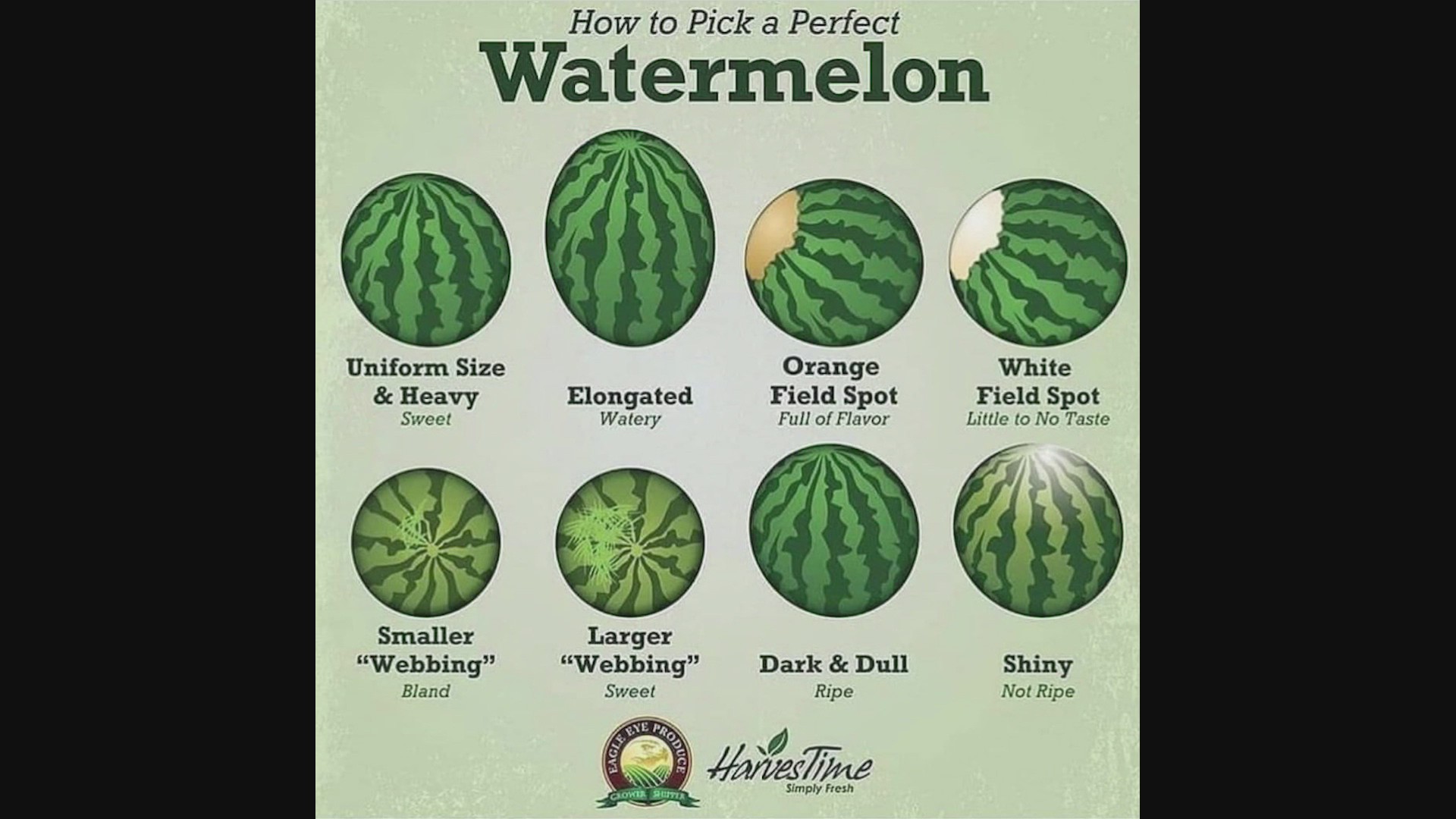 9@9: How to pick the perfect watermelon – WGN-TV