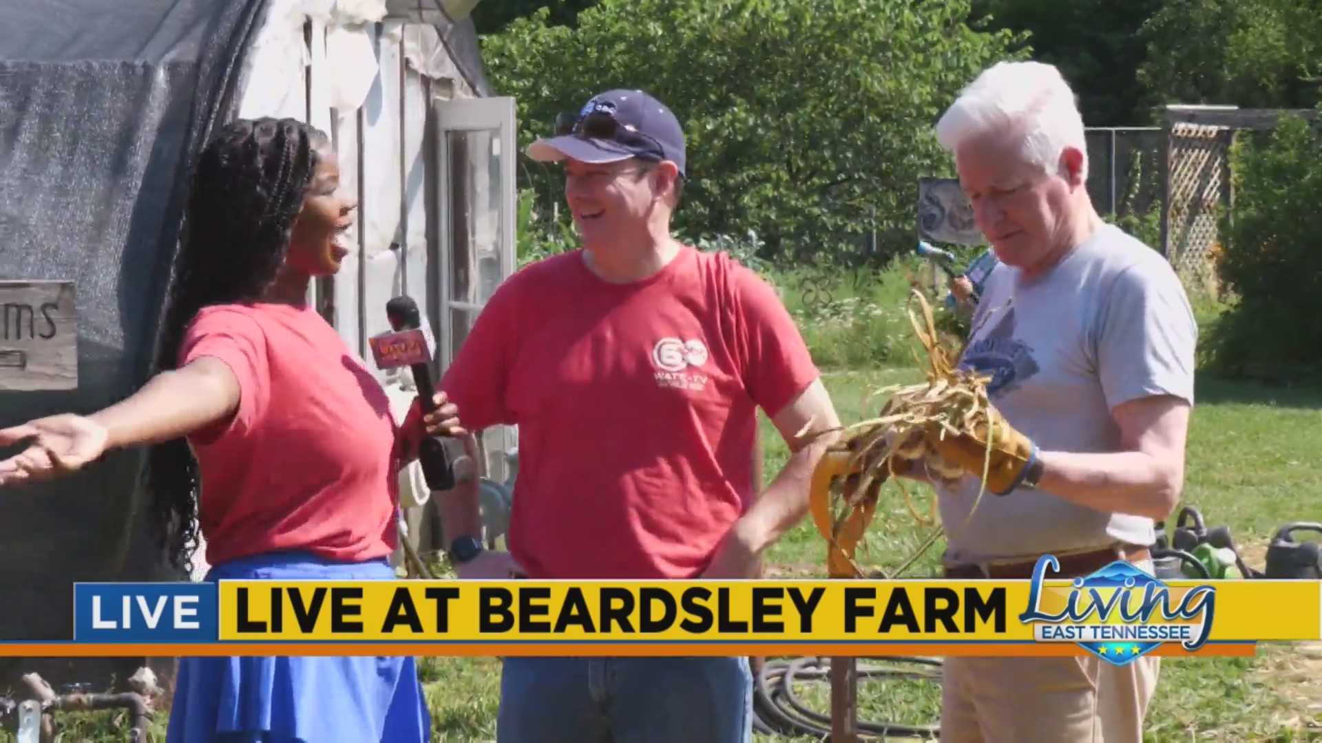 Live at Beardsley Farm for Founder’s Day – WATE 6 On Your Side