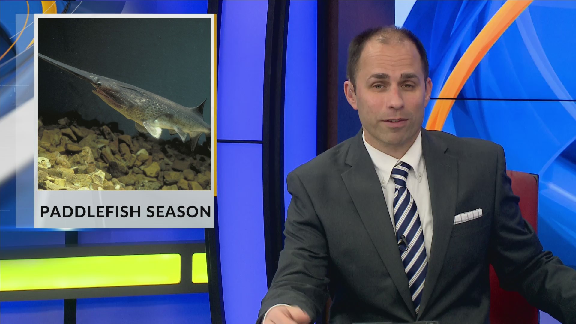 Paddlefish season continues to approach: What you need to know – KX NEWS