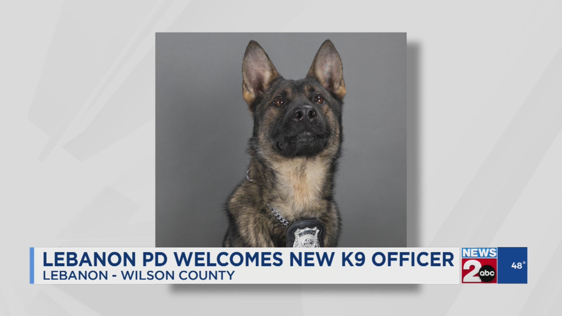 Lebanon Police Department welcomes new K9 officer – WKRN News 2
