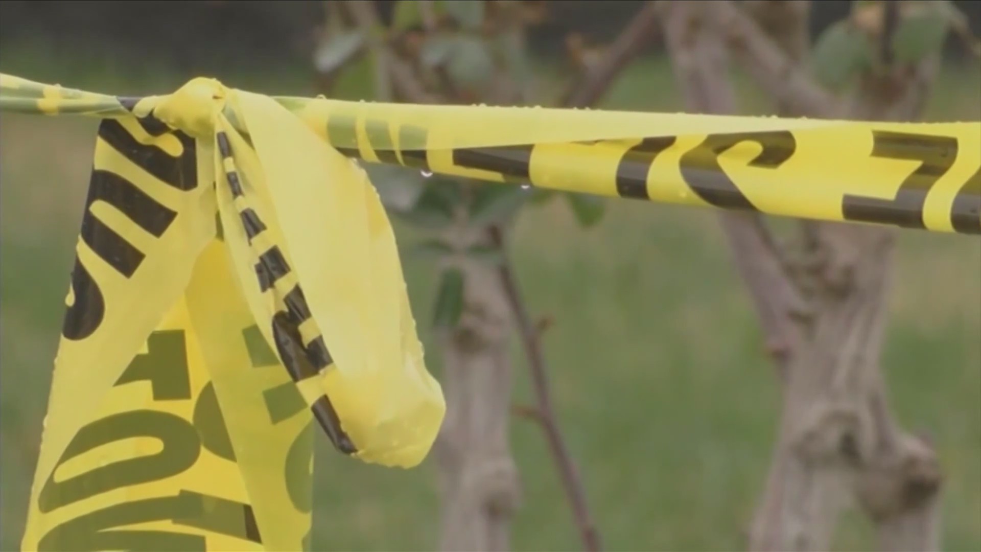 Witness reveals where the guns were hidden in Erika Sandoval trial ...