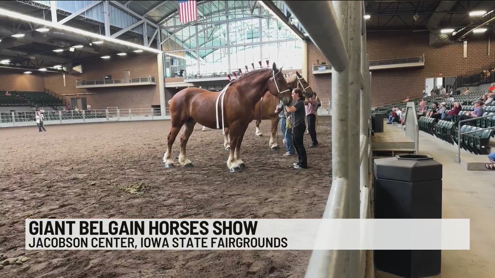 WHO 13’s Roger Riley checks out the animals at the Iowa State Fair ...