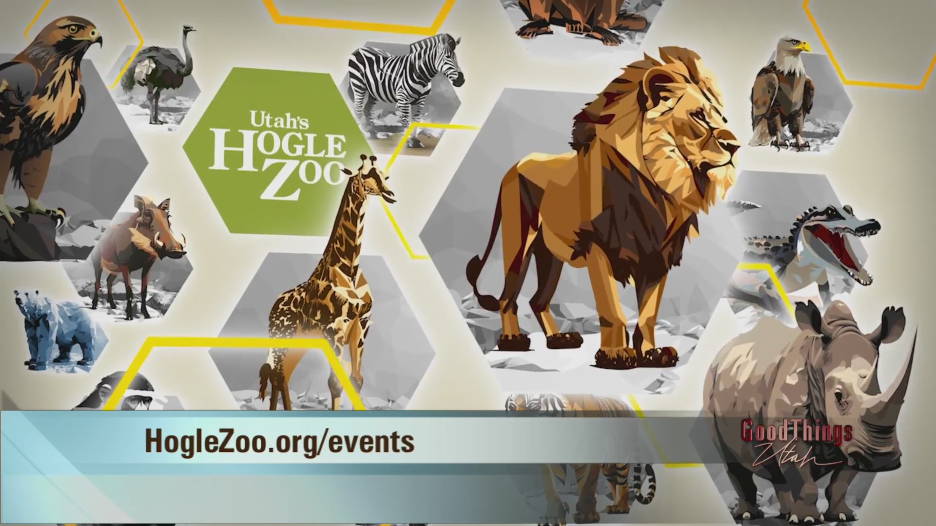 Utah’s Hogle Zoo Is Throwing a Wild Party – ABC4 Utah