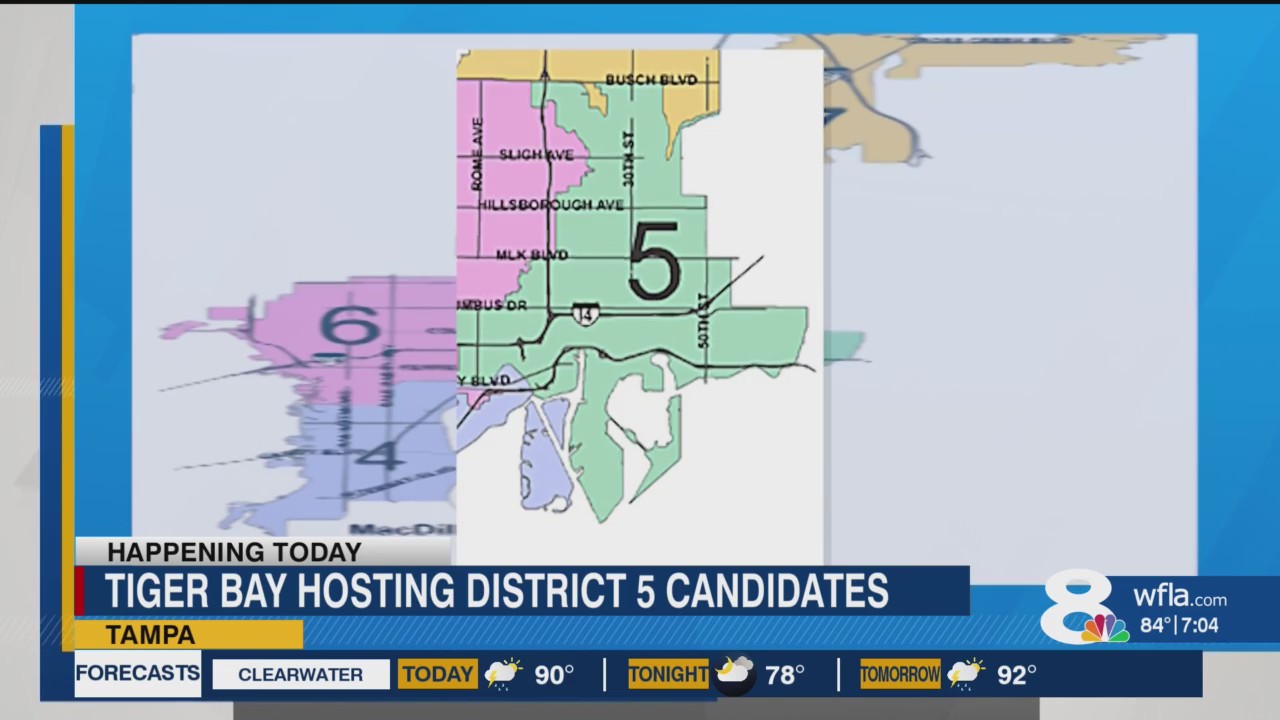 Tampa voters weigh in on district 5 city council candidates – WFLA