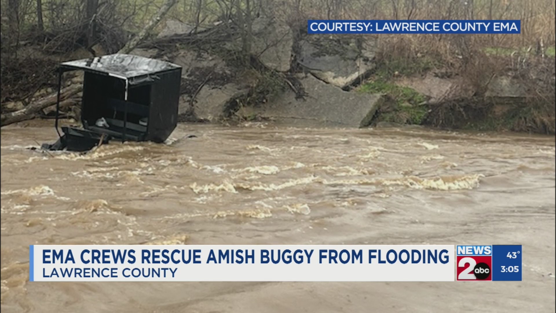 TN first responders rescue Amish driver, horse from floodwaters: VIDEO ...