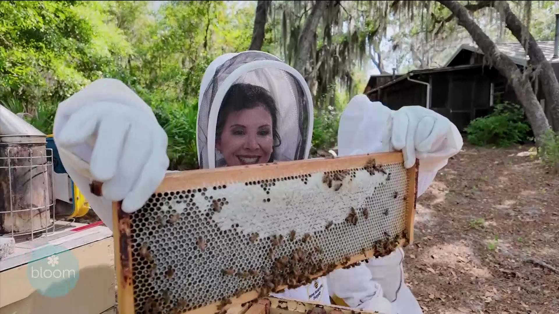 Be a beekeeper for a day – WFLA