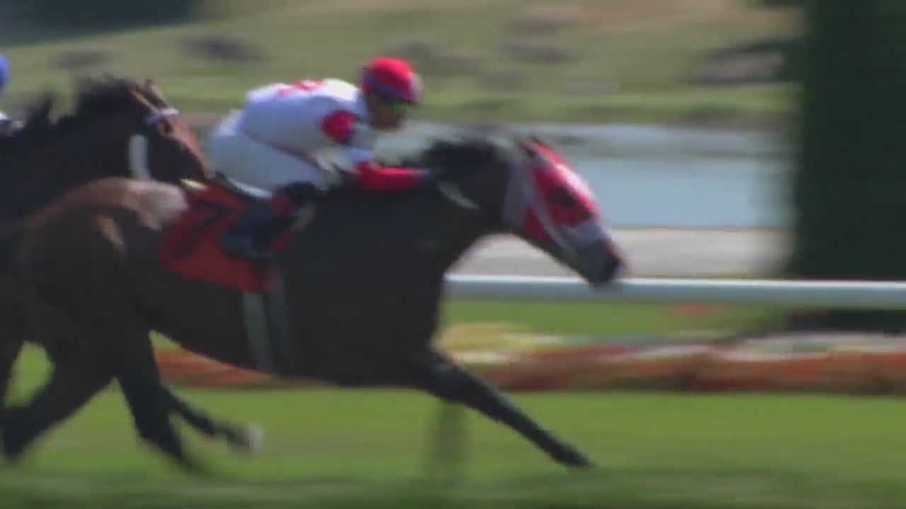 Headliner announced for ‘Belmont on Broadway’ kickoff – NEWS10 ABC