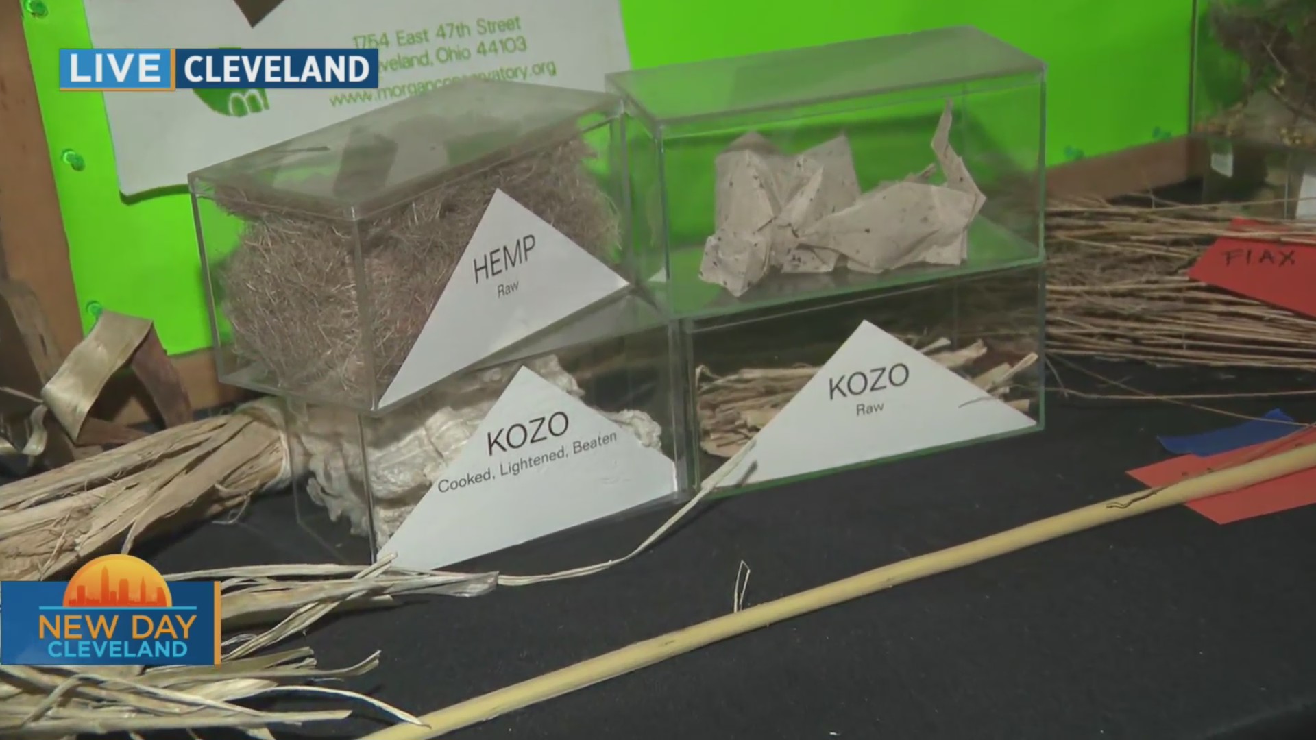 New Day Cleveland: Morgan Conservatory 1 – Fox 8 Cleveland WJW